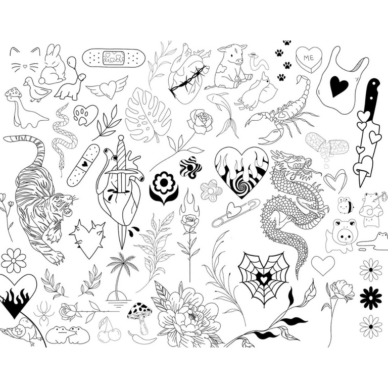 Procreate House Store